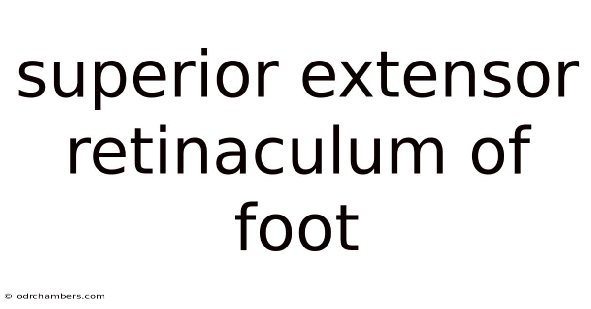 Superior Extensor Retinaculum Of Foot